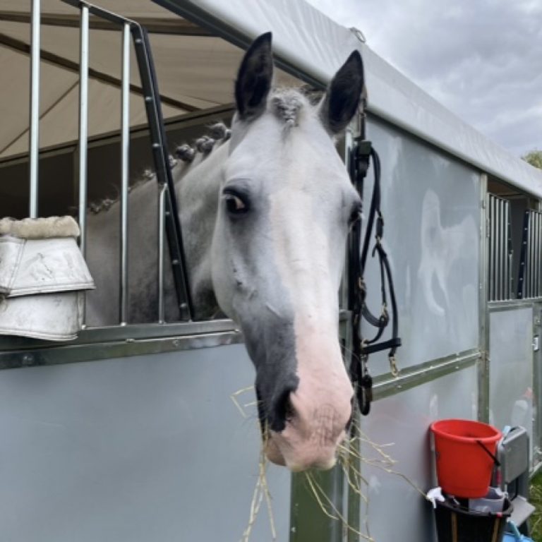 On-Site Stabling - Sheepgate Equestrian