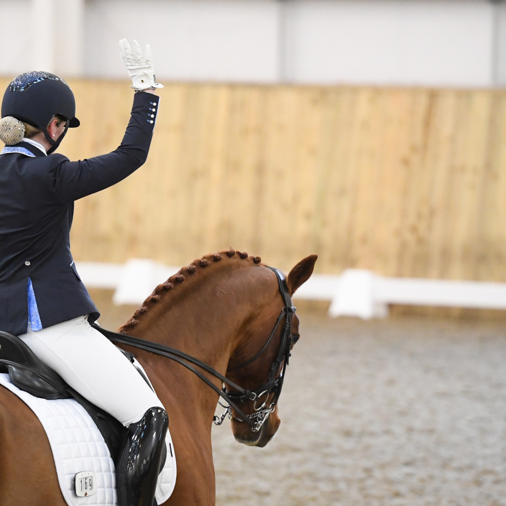 Clinics at Sheepgate - Sheepgate Equestrian