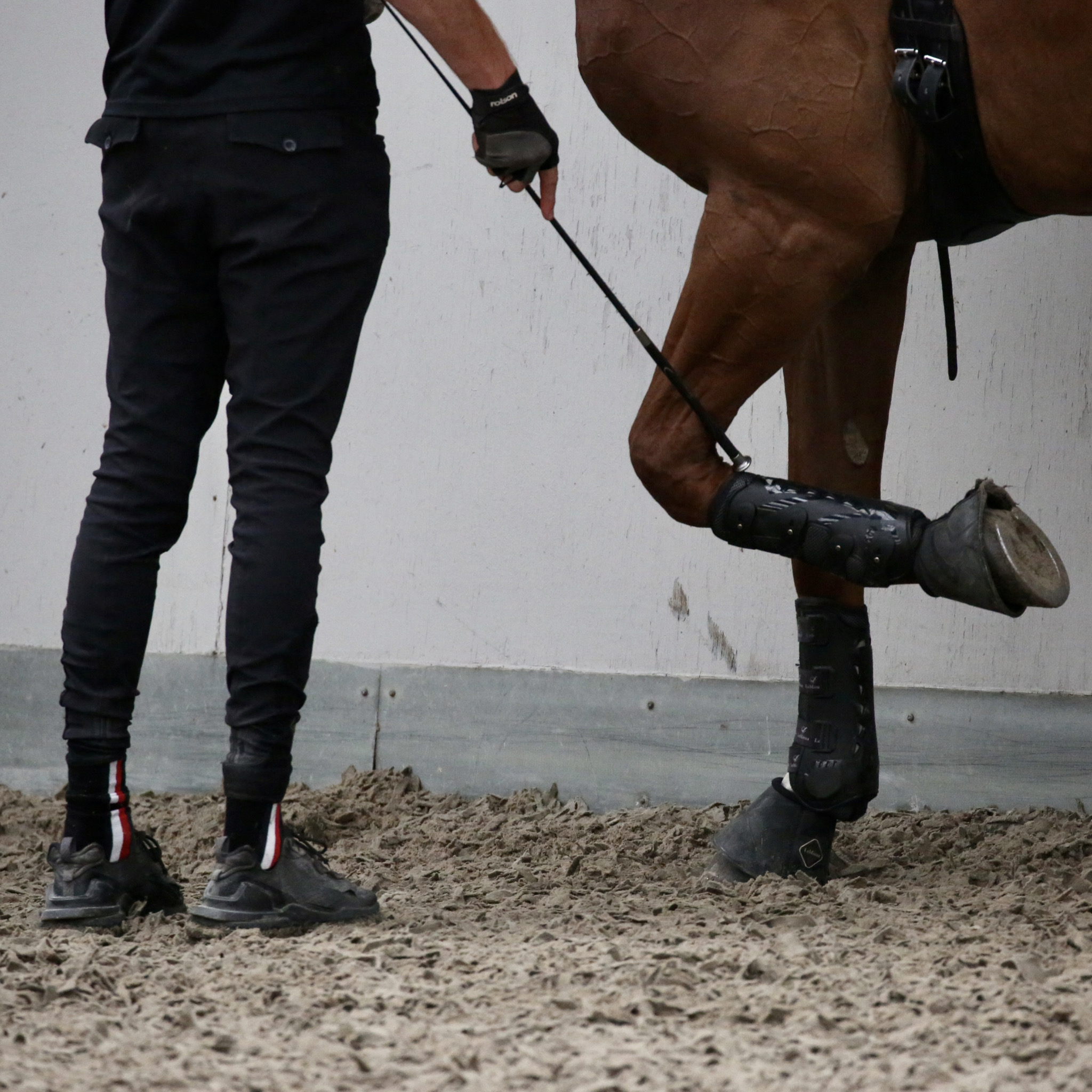 Clinics at Sheepgate - Sheepgate Equestrian